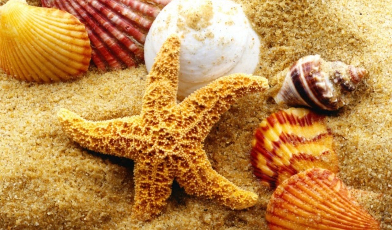 2020 – Teal Village